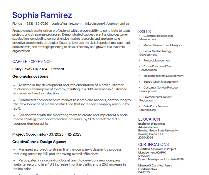 1 Entry Level CV Examples [+ Free Templates]