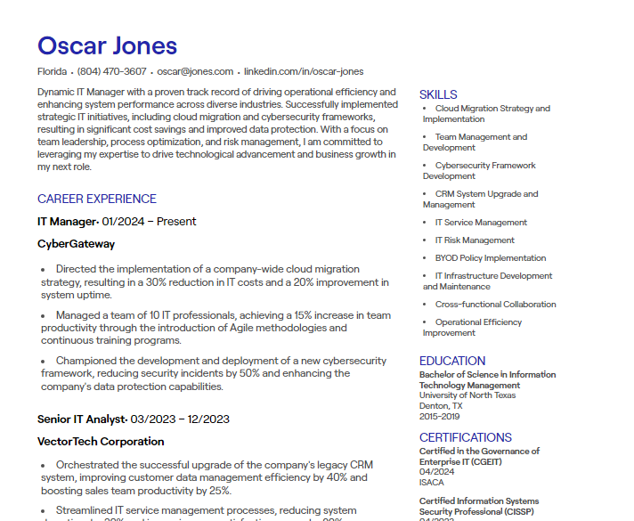 13 IT Manager CV Examples [+ Free Templates]
