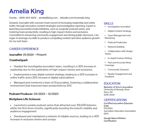5 Journalist CV Examples [+ Free Templates]