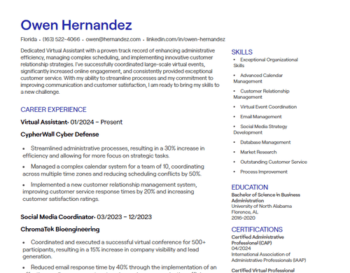 4 Virtual Assistant CV Examples [+ Free Templates]