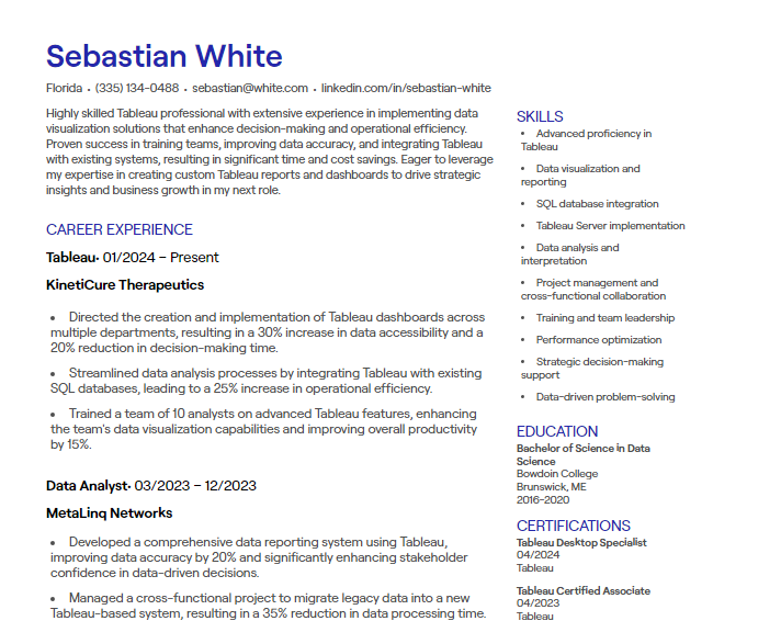 6 Tableau CV Examples [+ Free Templates]