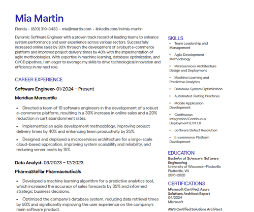 12 Software Engineer CV Examples [+ Free Templates]
