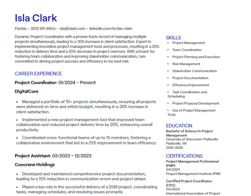 20 Project Manager CV Examples [+ Free Templates]