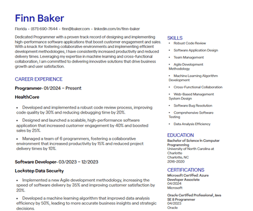 9 Programmer CV Examples [+ Free Templates]