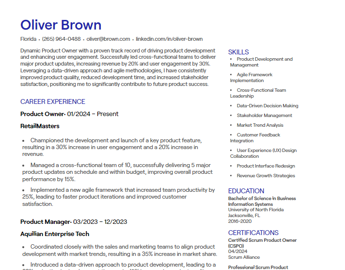8 Product Owner CV Examples [+ Free Templates]