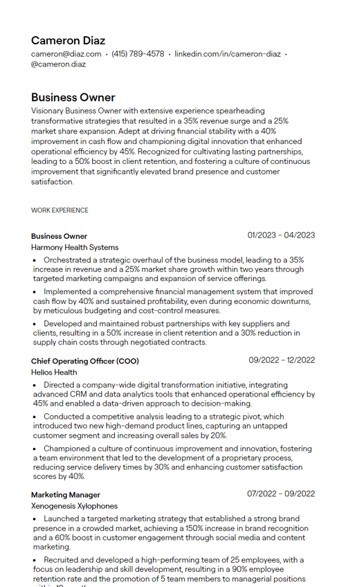 3+ Business Owner Resume Examples [with Guidance]