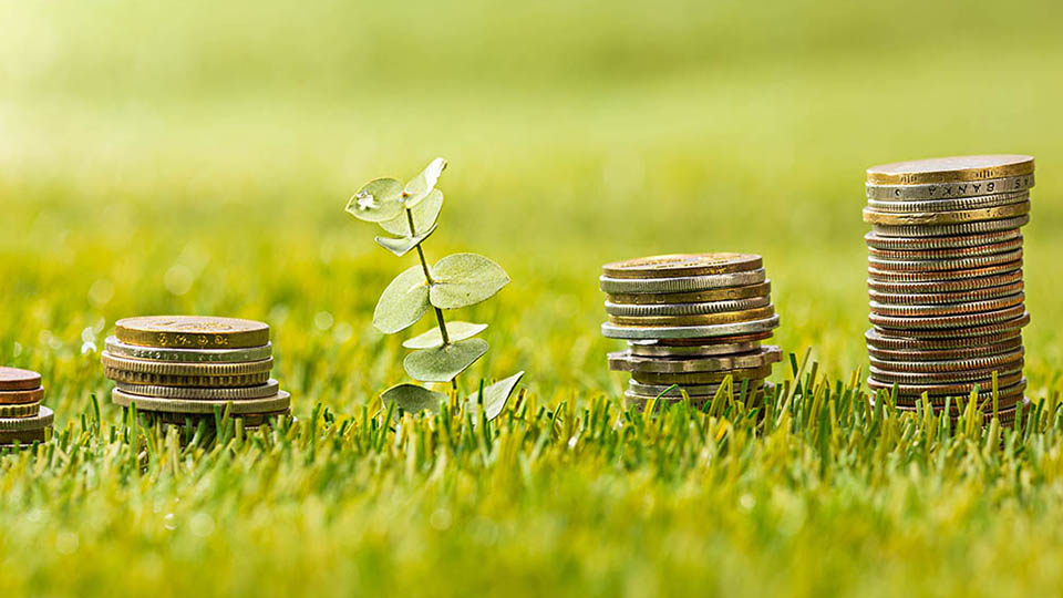 What Are The Best Deductions? — Marketing