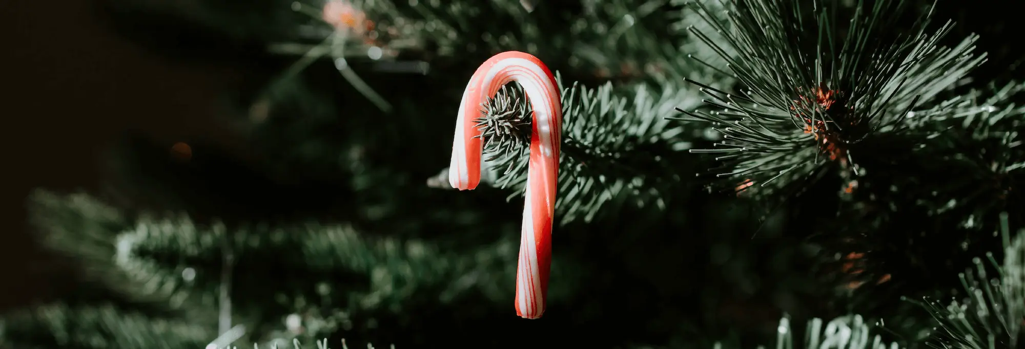 23 delightful church Christmas program ideas