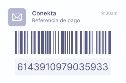 Conekta | Pagos en línea. Una conexión, todos los métodos de pago