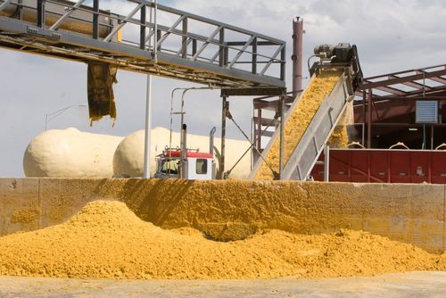 NeoSpectra LabStore | Dairyland Labs | Corn Distillers Grains - Wet