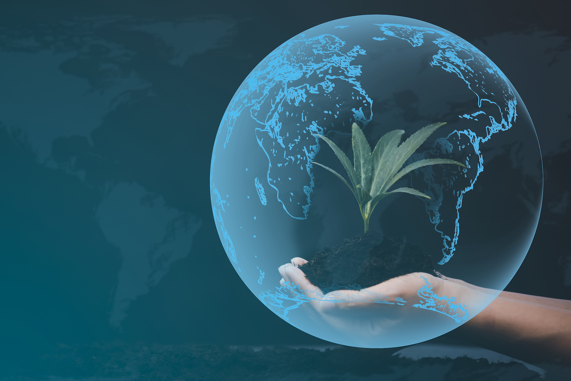 Distributed Media Lab