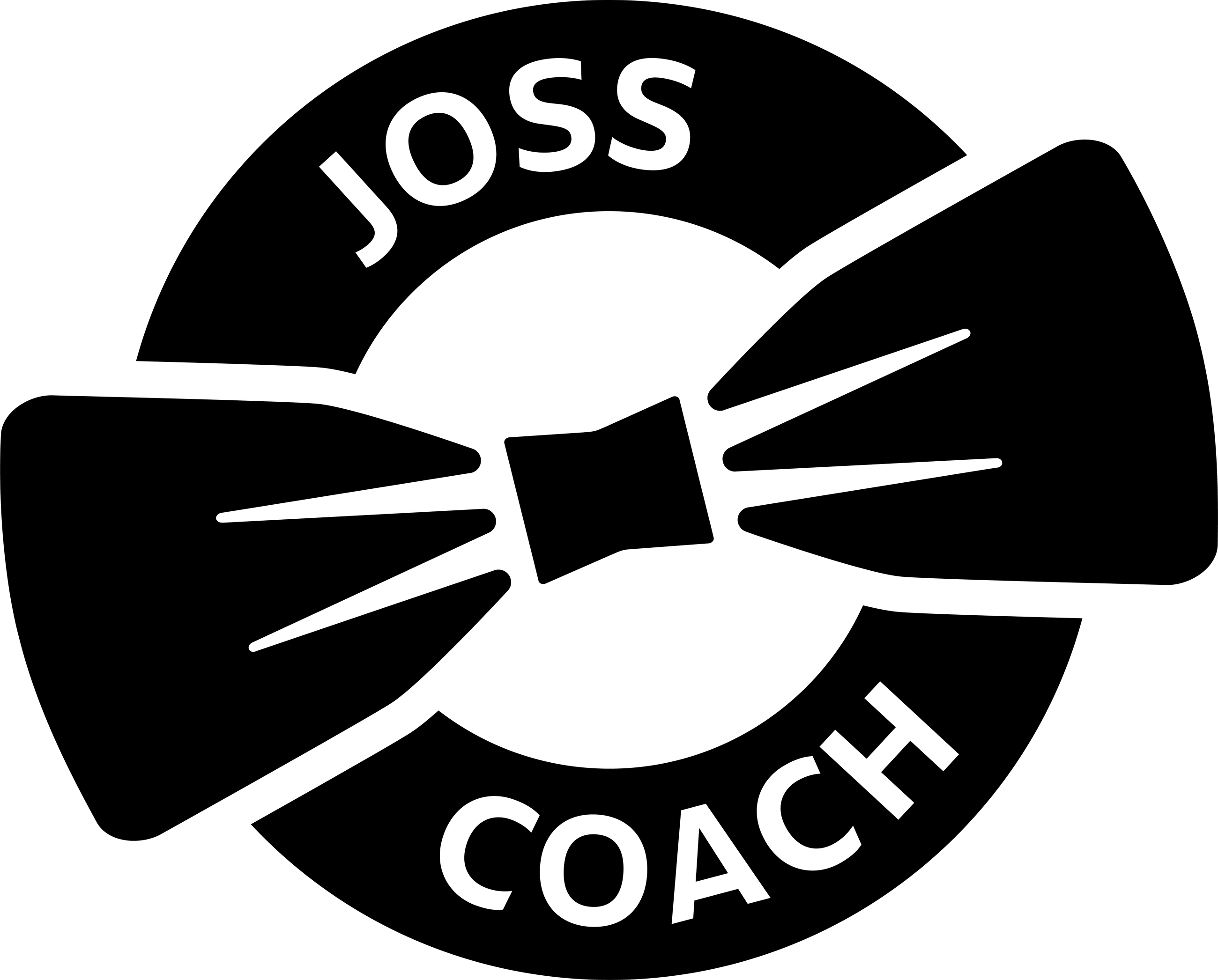 Joss coaching | How to become a performer