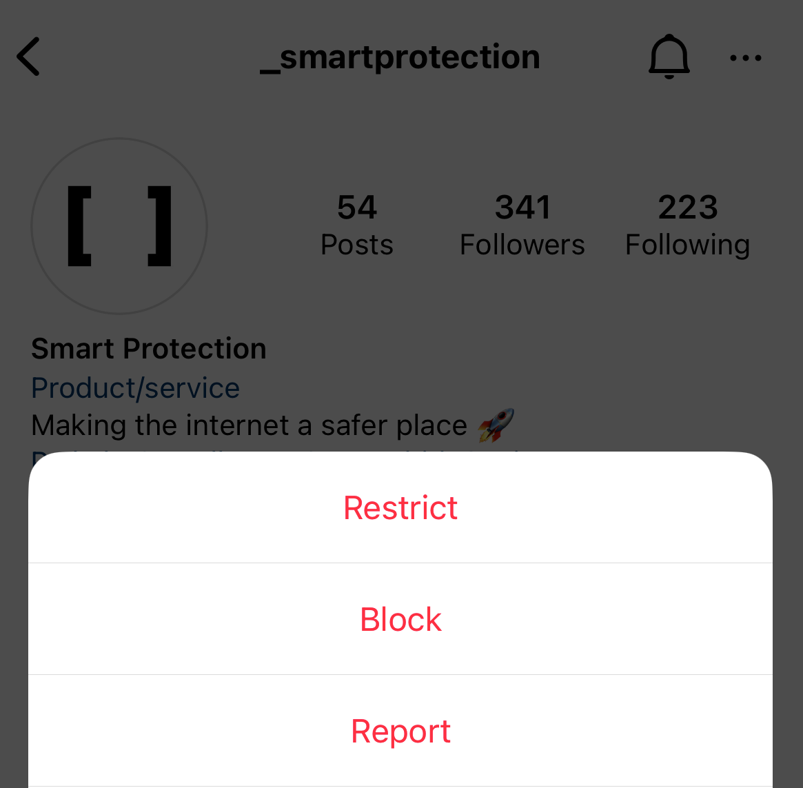 Tips to report a Fake Instagram Account | Smart Protection