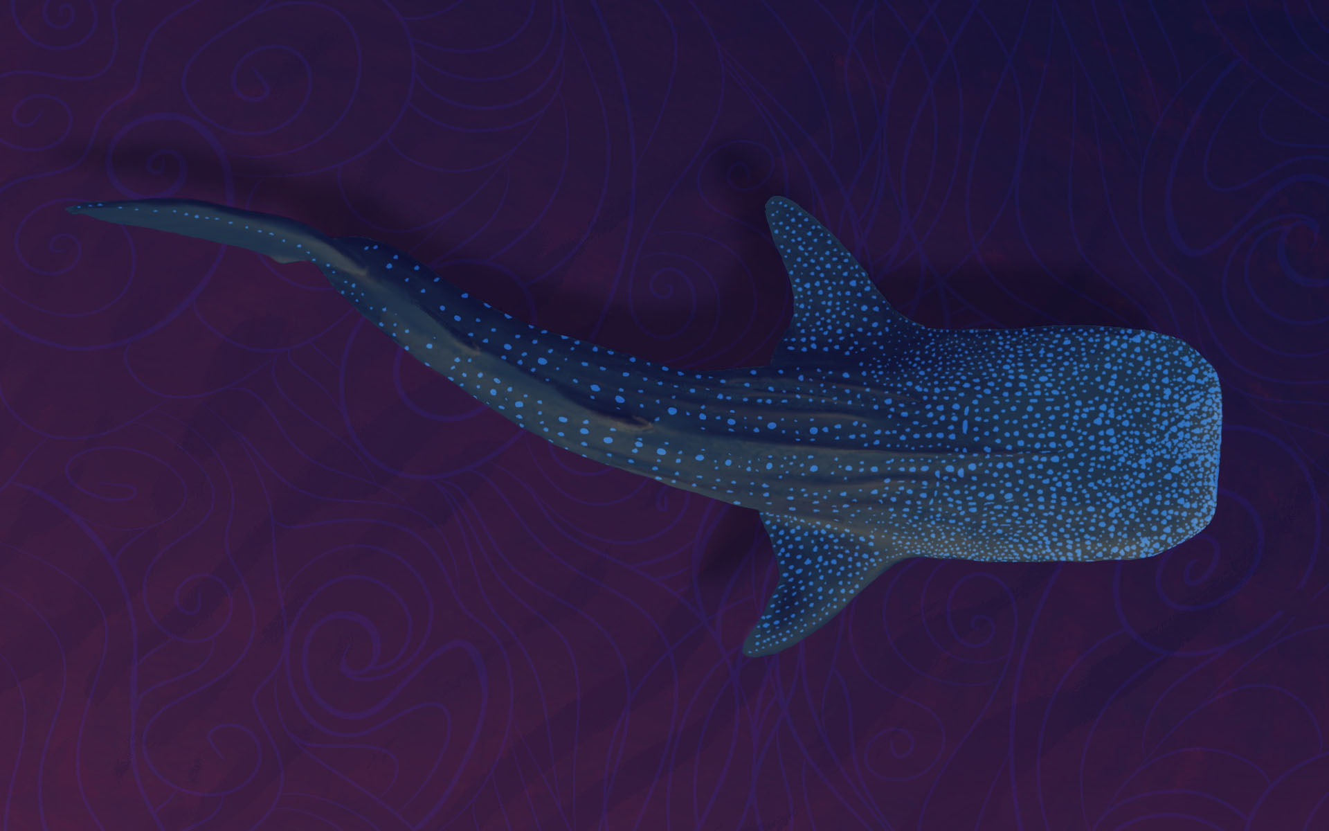 Stardog Creative: Sample Work | Illustration Portfolio