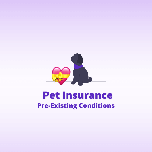 Pet Insurance for Pre-Existing Conditions