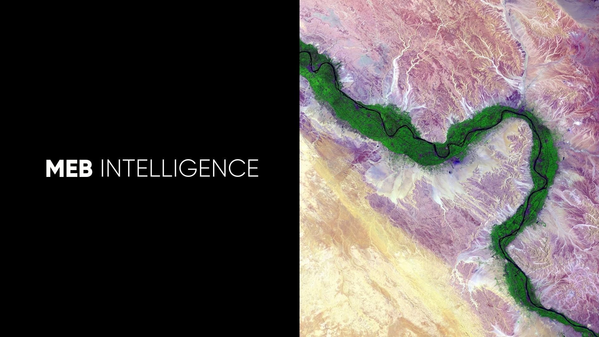 MEB INTELLIGENCE - Consultancy Services