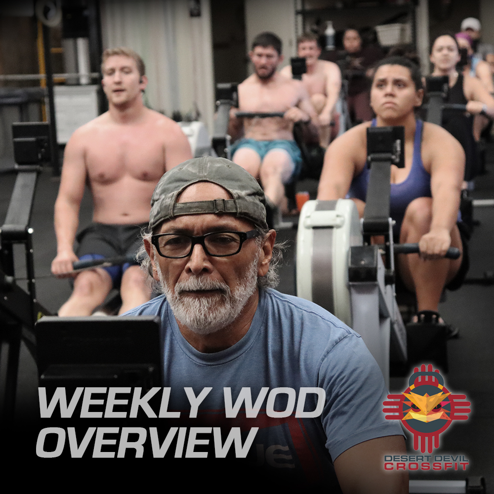 WEEKLY WOD OVERVIEW FOR NOVEMBER 20TH TO 26TH, 2023