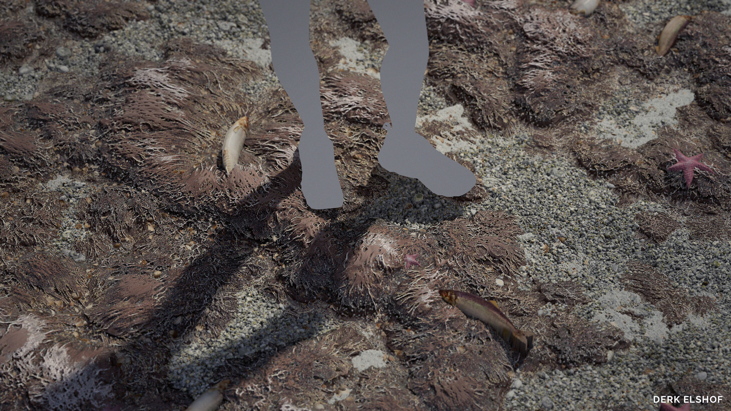 Beyond Extent | Workshops