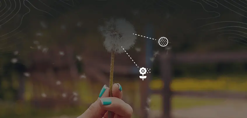 Learn How Climate Change Affects Pollen Count and Severity of Pollen ...