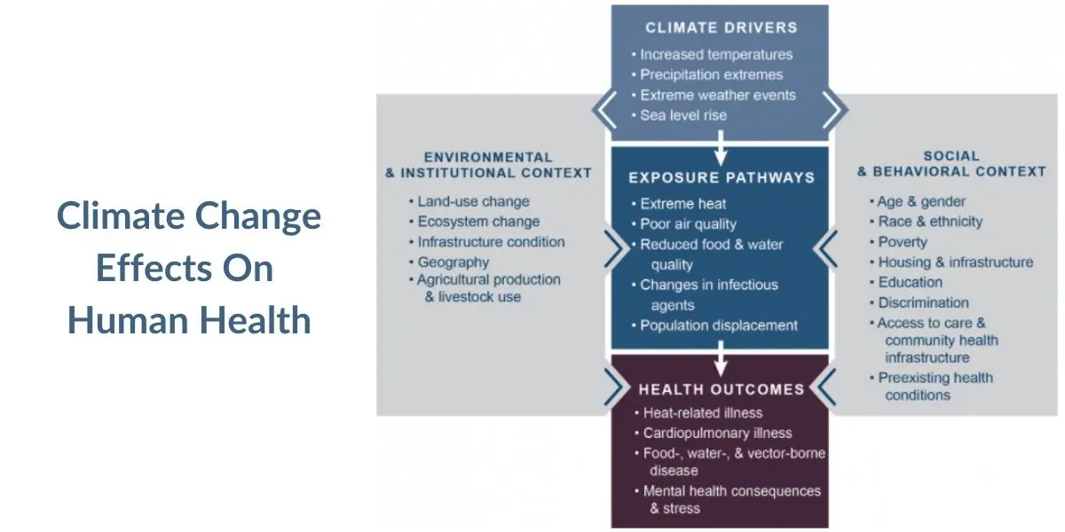 Learn How Climate Change Affects Pollen Count and Severity of Pollen ...