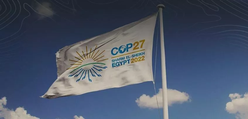 Why You Need To Know About COP27 | Ambee