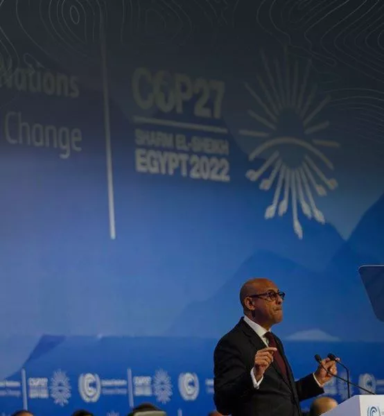 What Went Down at COP27 and What Does It Mean For Businesses?