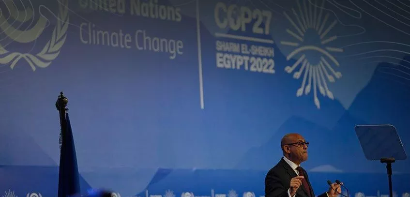 What Went Down at COP27 and What Does It Mean For Businesses?