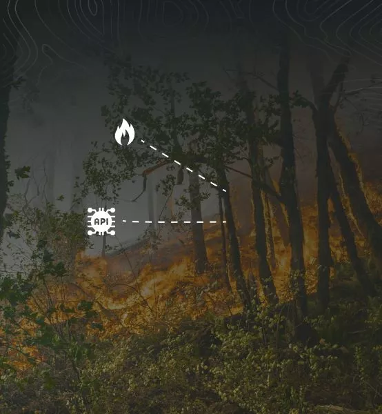 Enhanced fire data - Ambee’s new and improved forest fire API