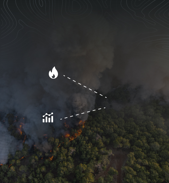 Ambee’s Historical Wildfire Data: Everything You Need To Know Ambee’s Historical Wildfire Data: Everything You Need To Know