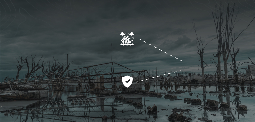 From Risk to Reward: How Natural Disaster Forecasting Tools Can Help ...