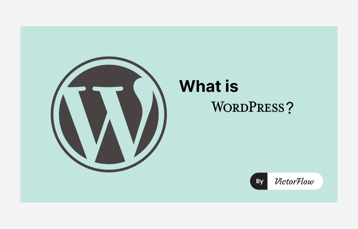 Webflow vs WordPress vs Wix Which is the best website builder for you ...