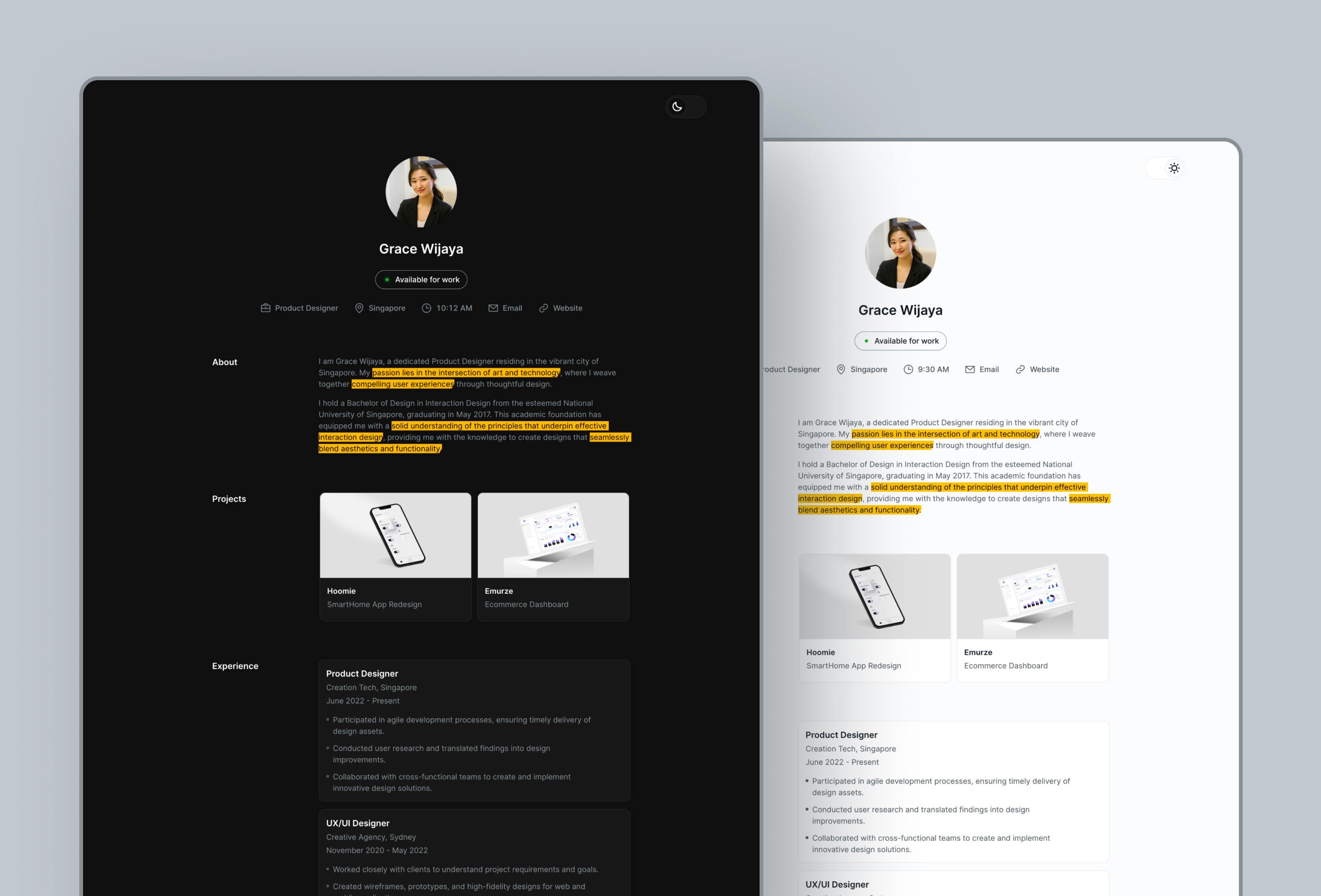 10 Best Resume Framer Templates in 2024