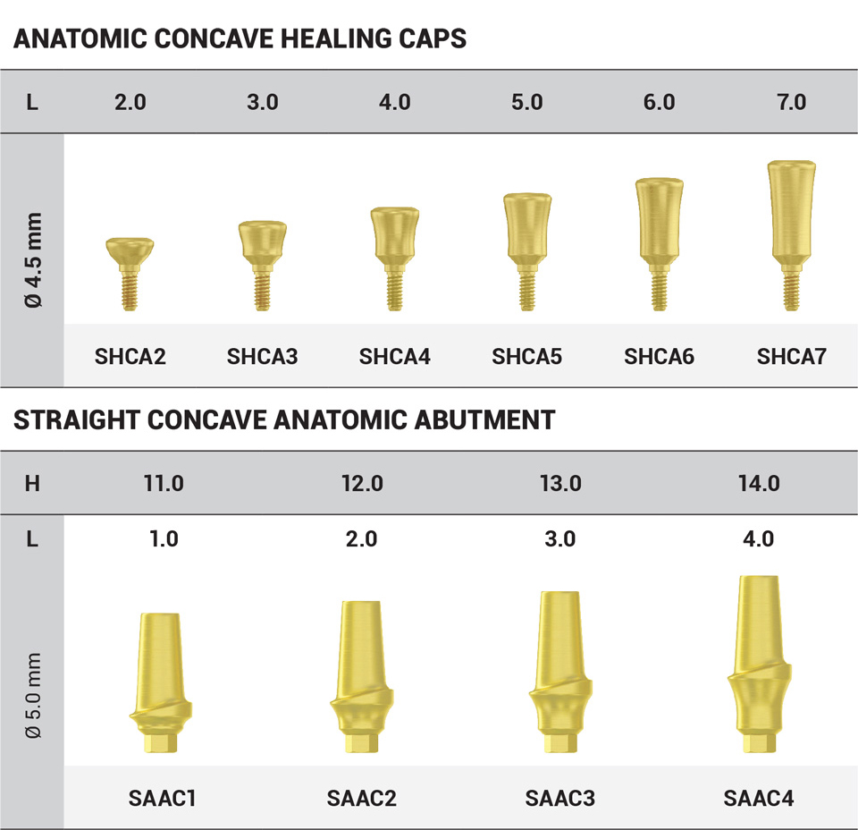 DSI Concave Abutment | Discover Dental Products & Solutions