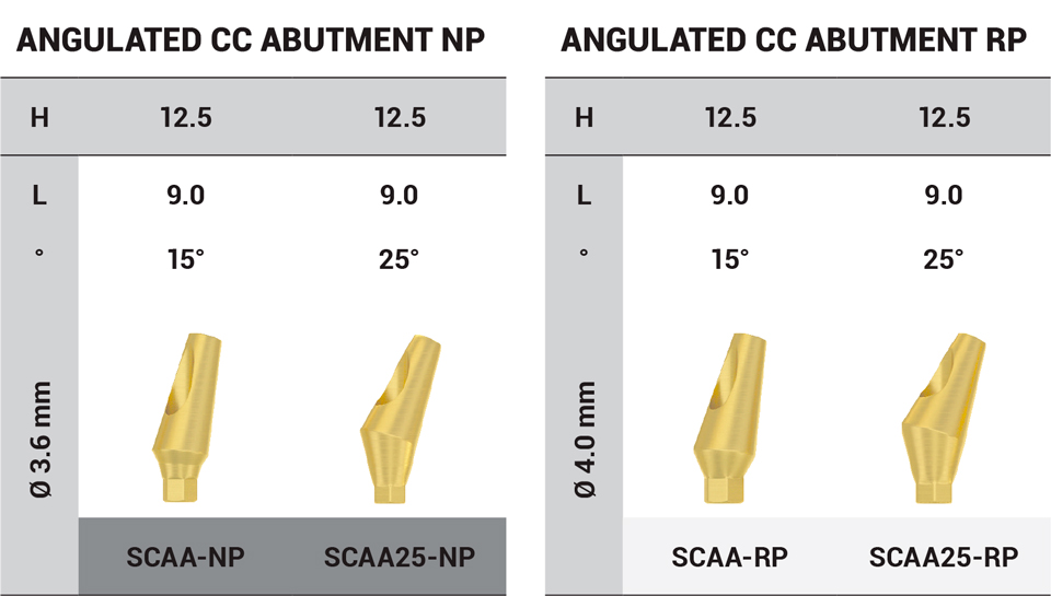 DSI Angulated Abutment Conical | DSI Dental Solutions | 2023