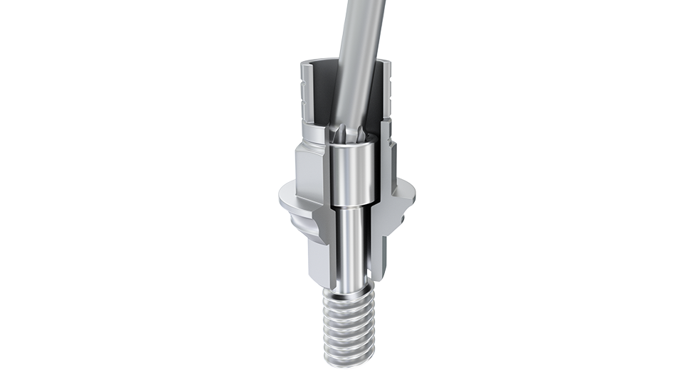 DSI Angulated Ti-Base CAD/CAM Abutment | Discover Dental Products ...