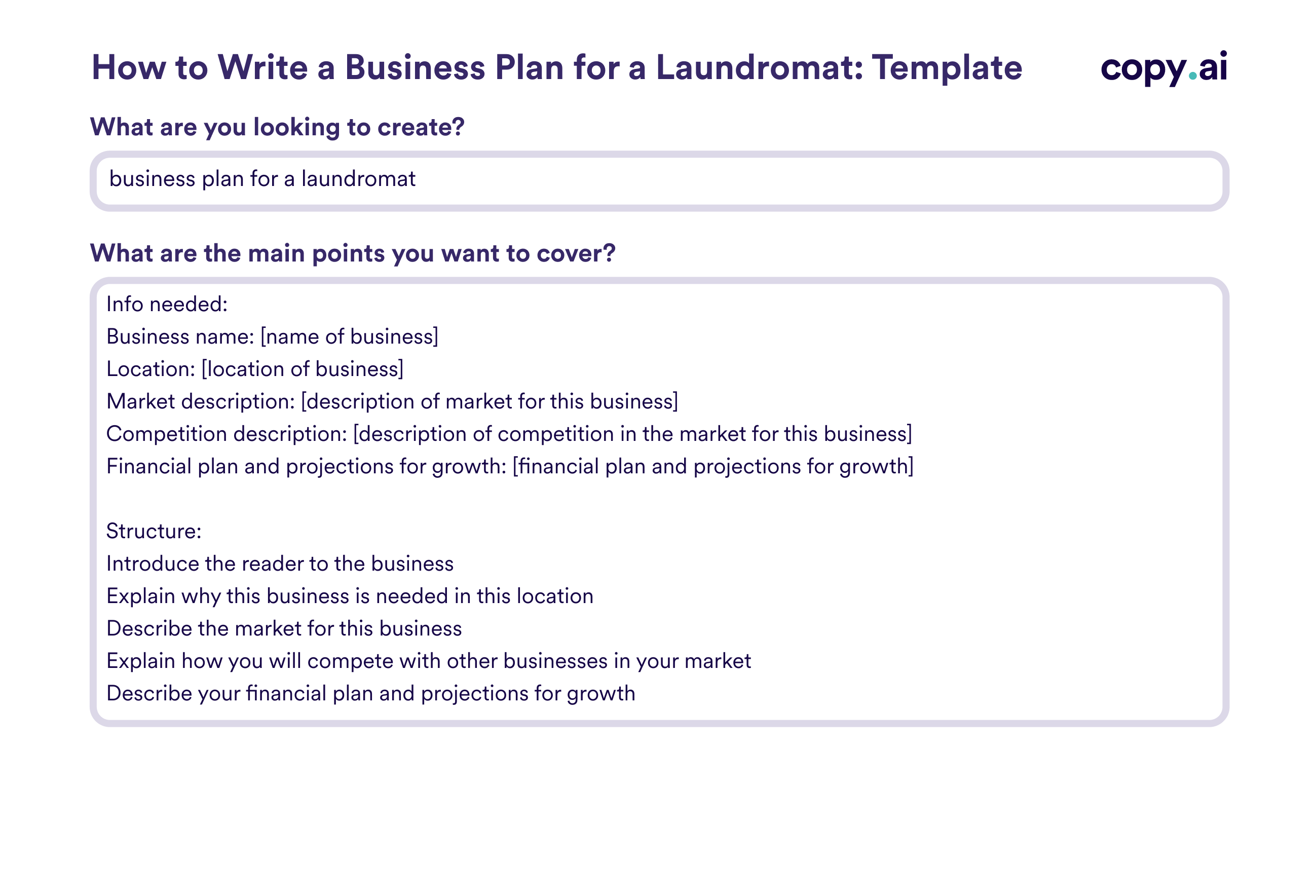 Business Plan For A Laundromat Templates How To Write Examples