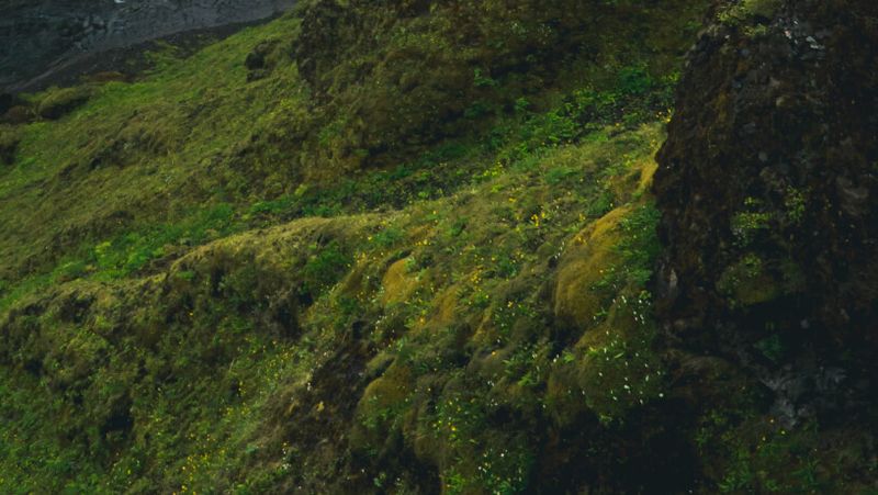 Our Story | Explore our journey | Cogo