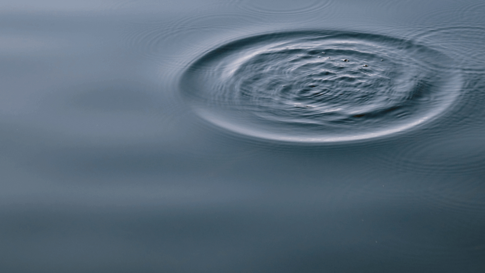 About | Learn more about Cogo | Meet the team and explore open roles