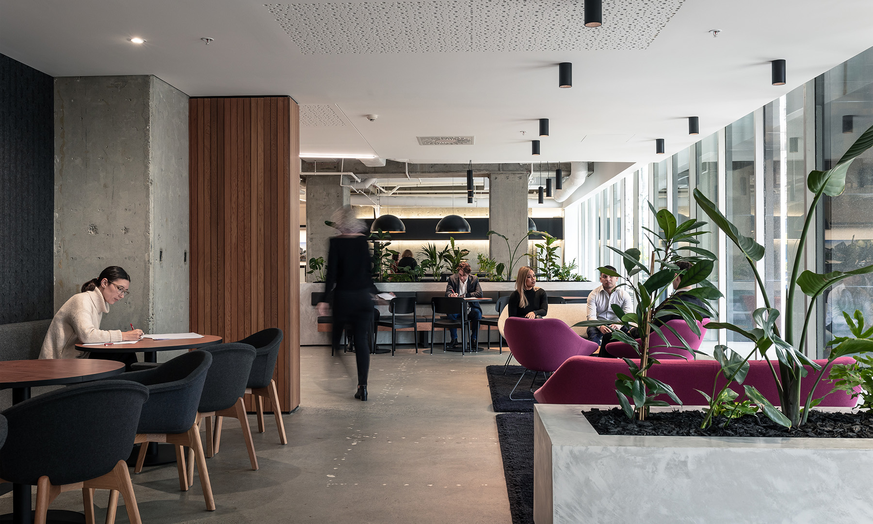 Designgroup Stapleton Elliott - Wellington | Work // Mahi