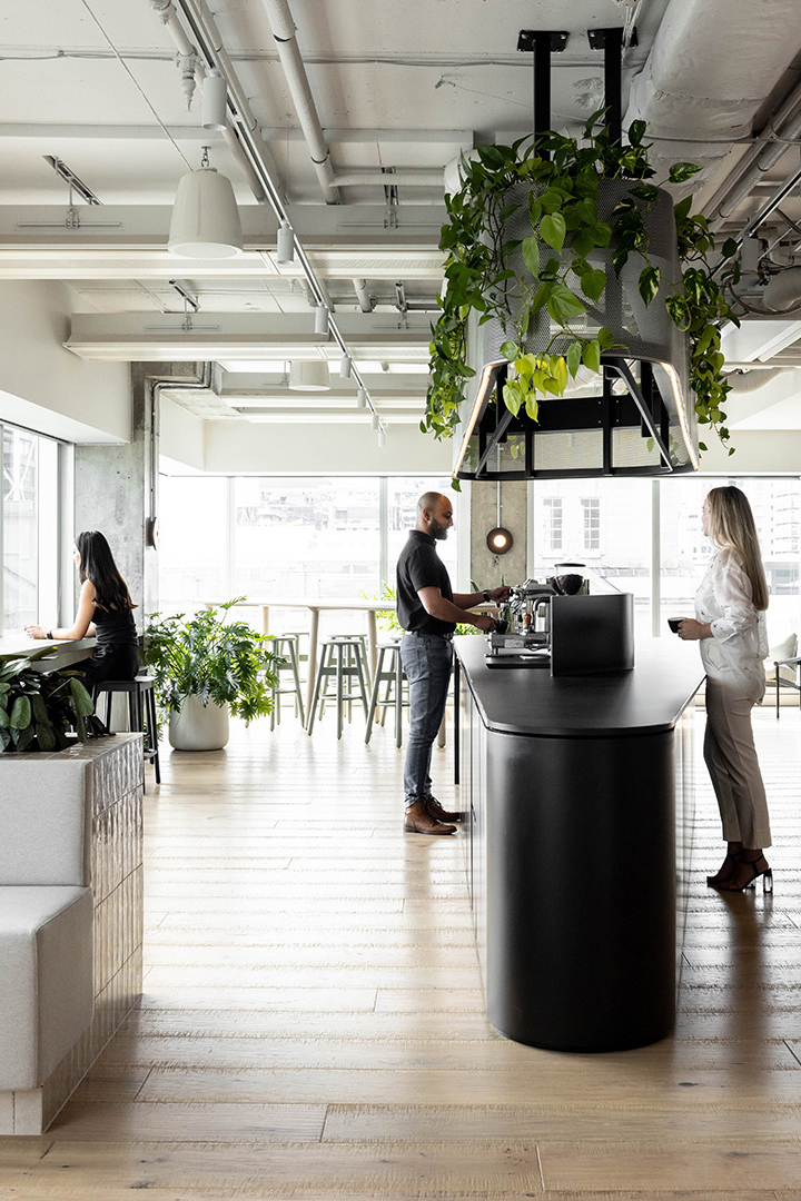 TSA Management | Work // Mahi