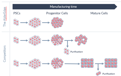 Alder Therapeutics – About us