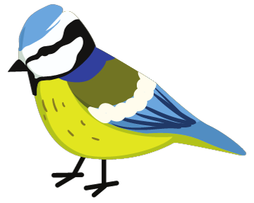 Ruby Robin Award - Activities