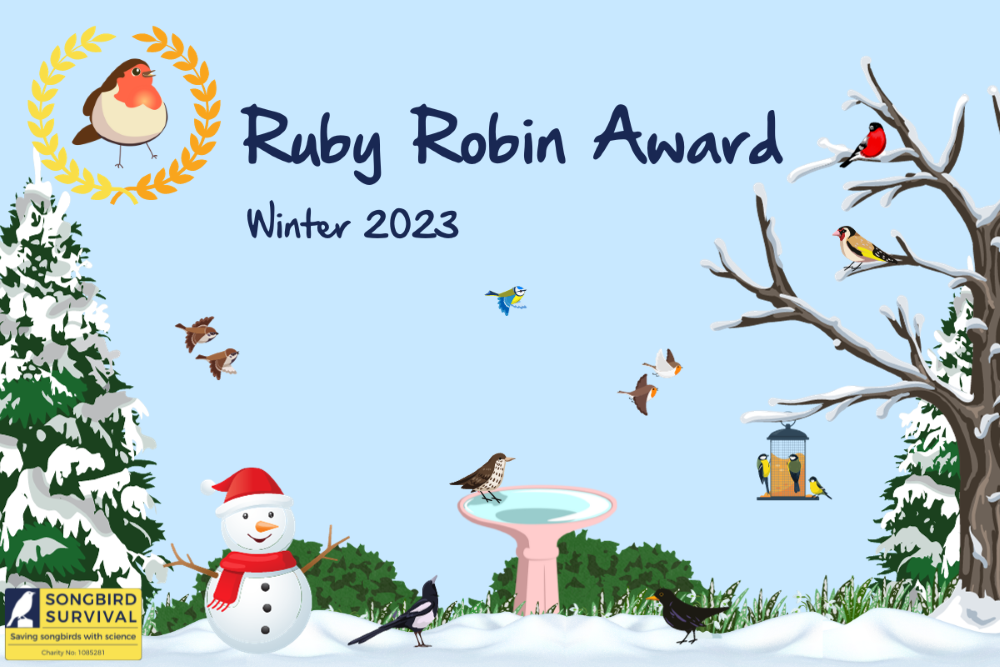 Ruby Robin Award - SongBird Survival