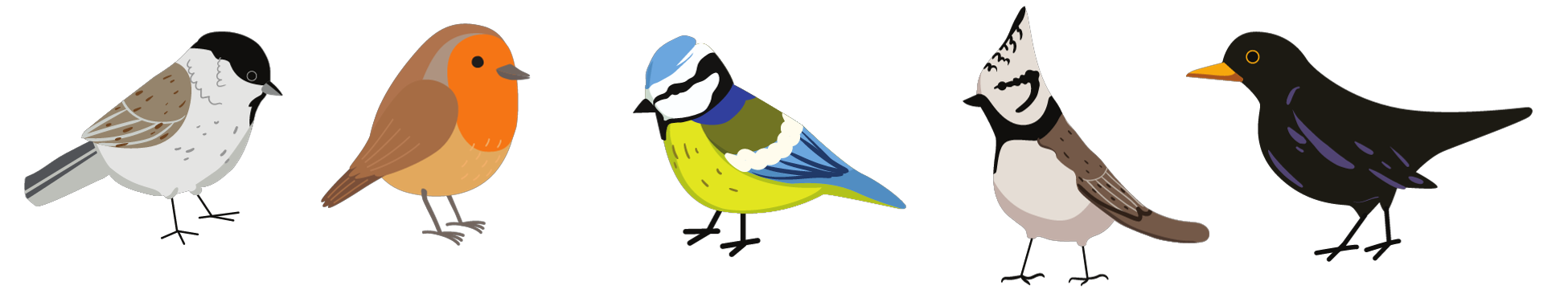 Ruby Robin Award - Activities