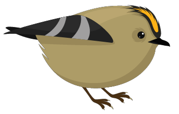 Ruby Robin Award - Activities