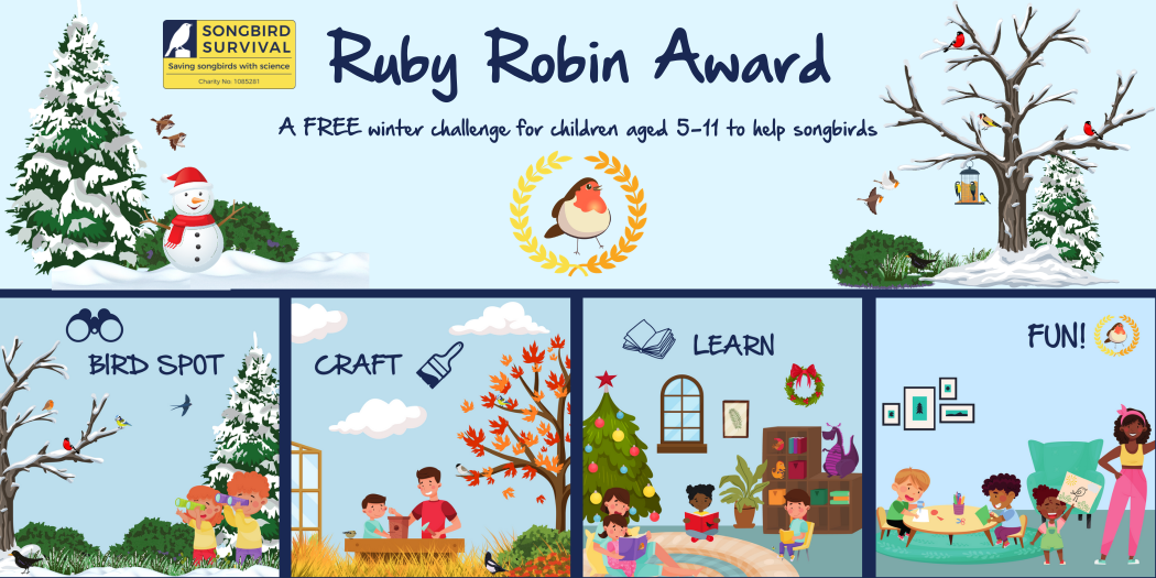 Ruby Robin Award - Activities
