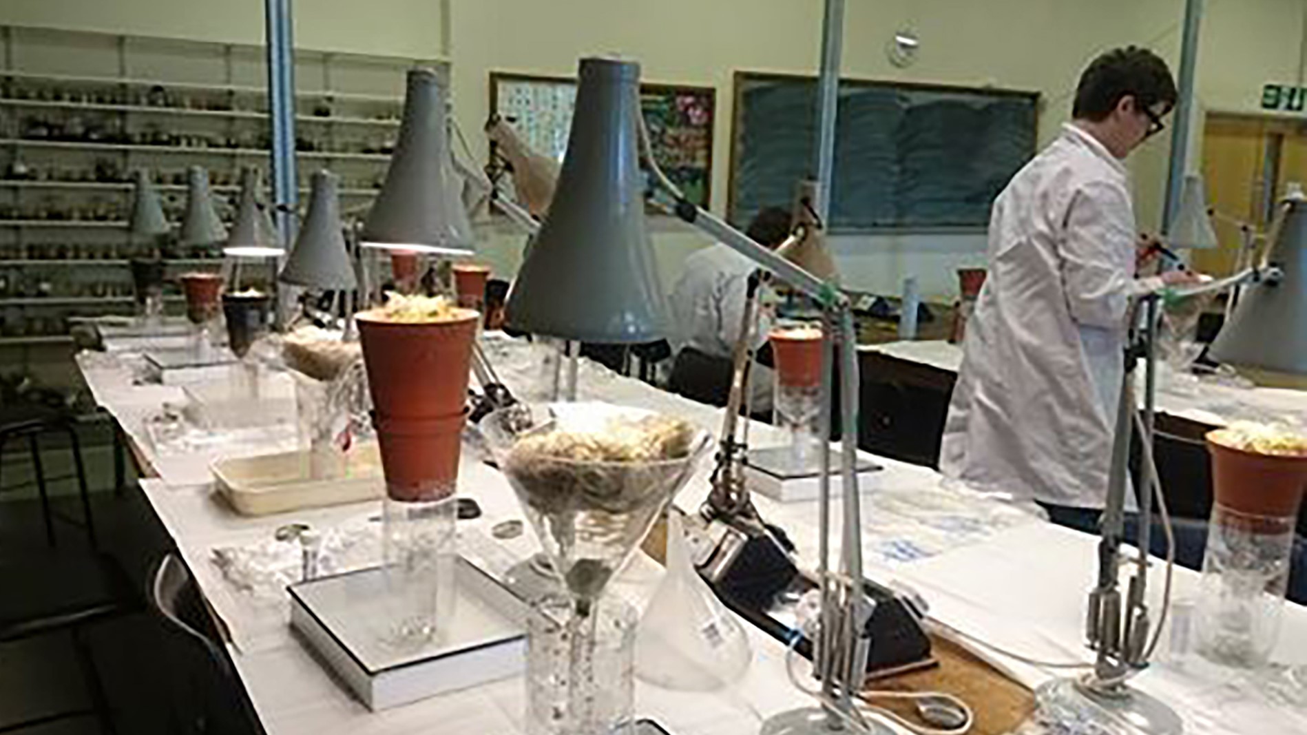 Gardens for birds - SongBird Survival Research