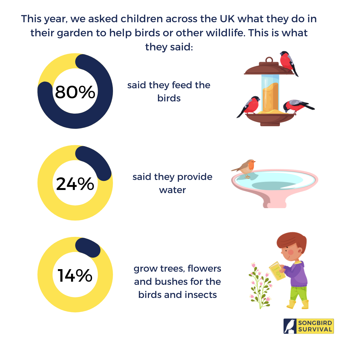 New poll finds children want to do more to help birds and wildlife, but ...