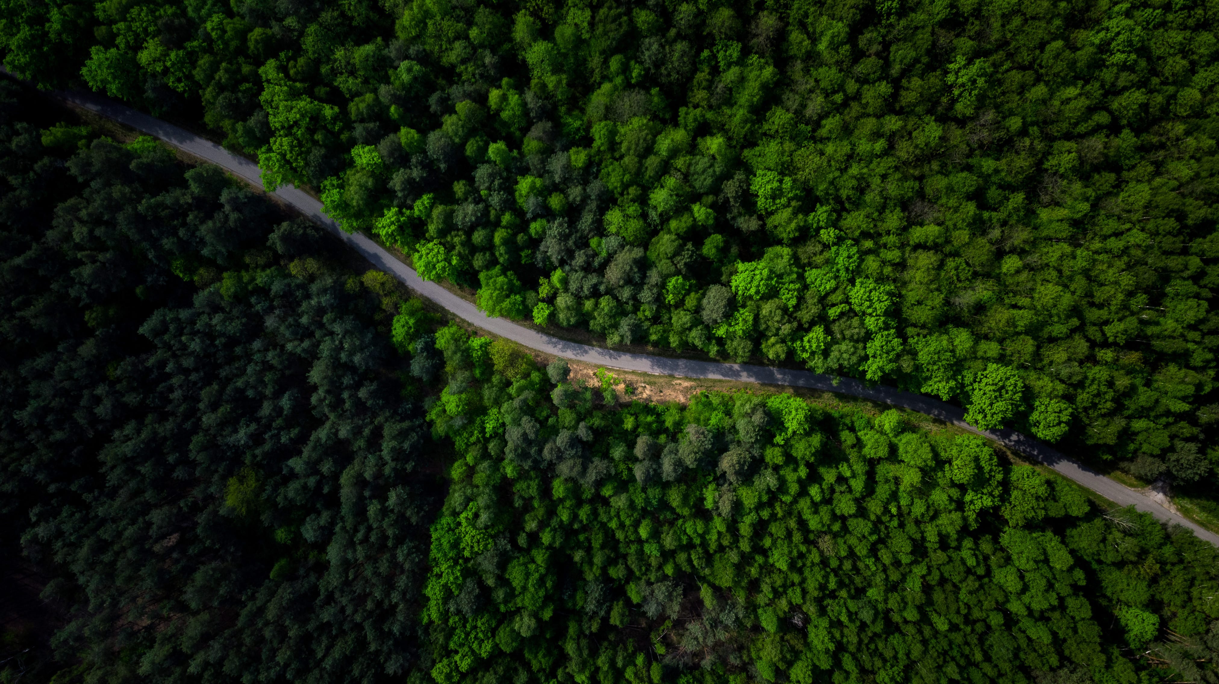 cubemos GmbH | The leading ESG platform