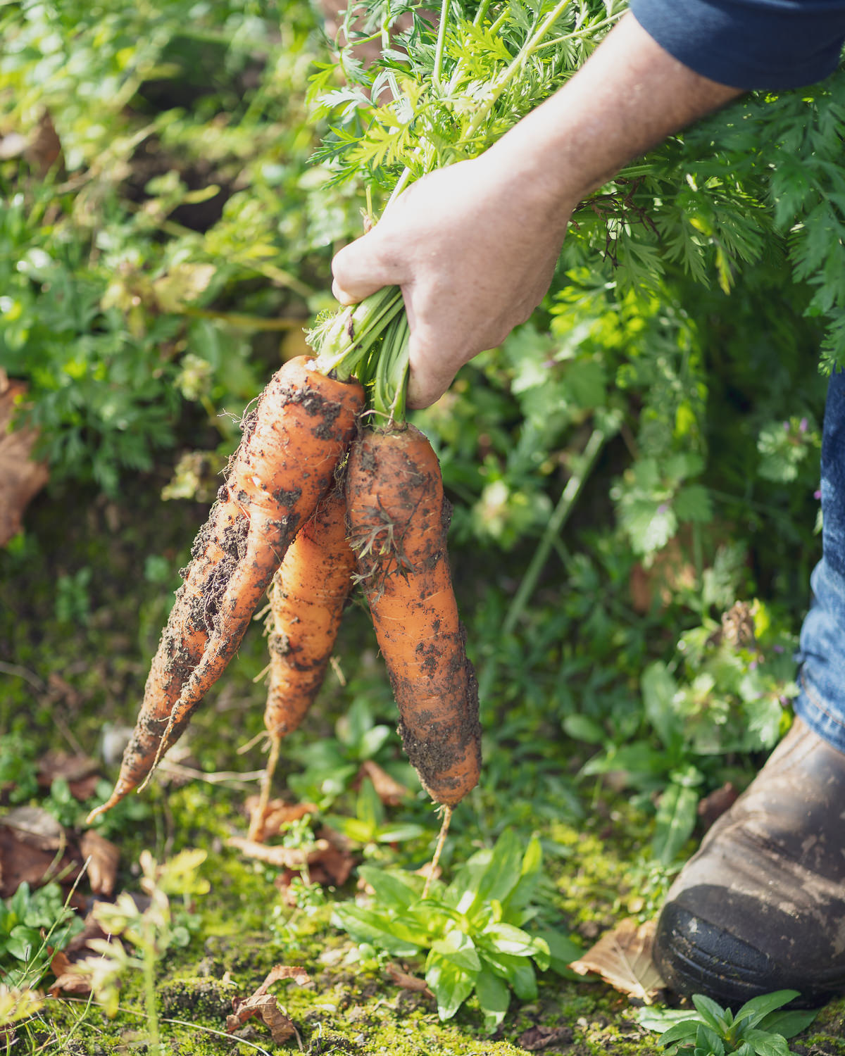 Castle Grove Country House, 4-Star Luxury Georgian Hotel with Award ...